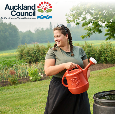 Live Lightly website